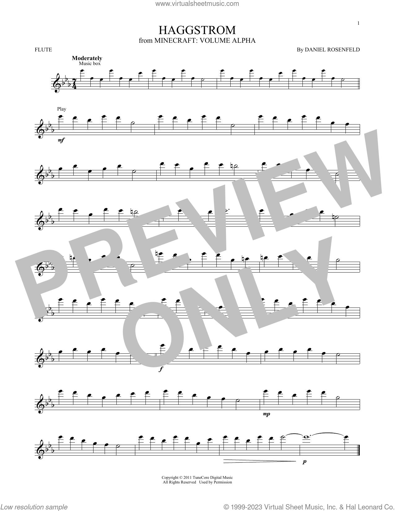Haggstrom (from Minecraft) sheet music for flute solo (PDF)