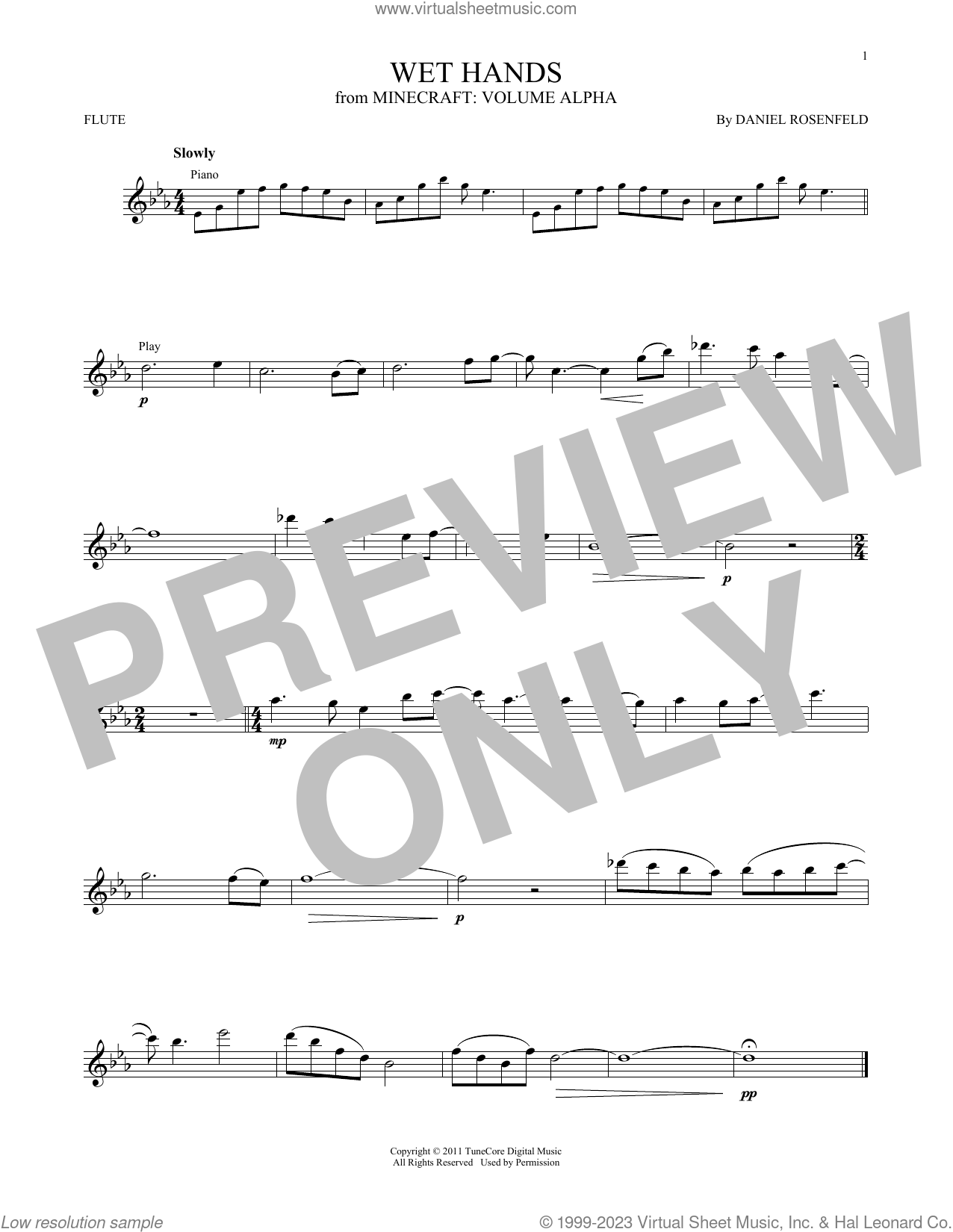 Wet Hands (from Minecraft) sheet music for flute solo (PDF)