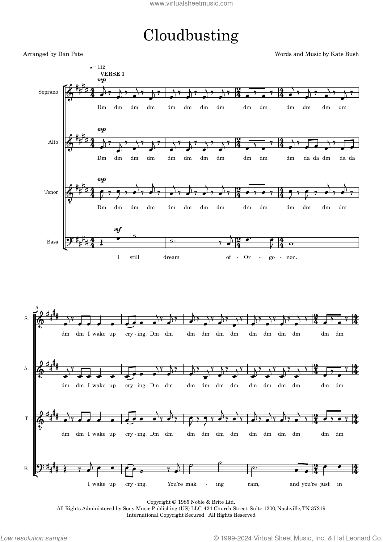 Cloudbusting (arr. Dan Pate) sheet music for choir (SATB: soprano, alto ...