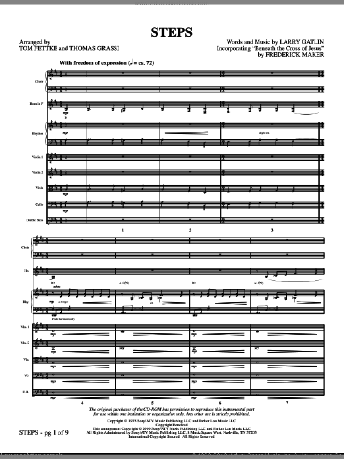 Steps (complete set of parts) sheet music for orchestra/band (Strings)