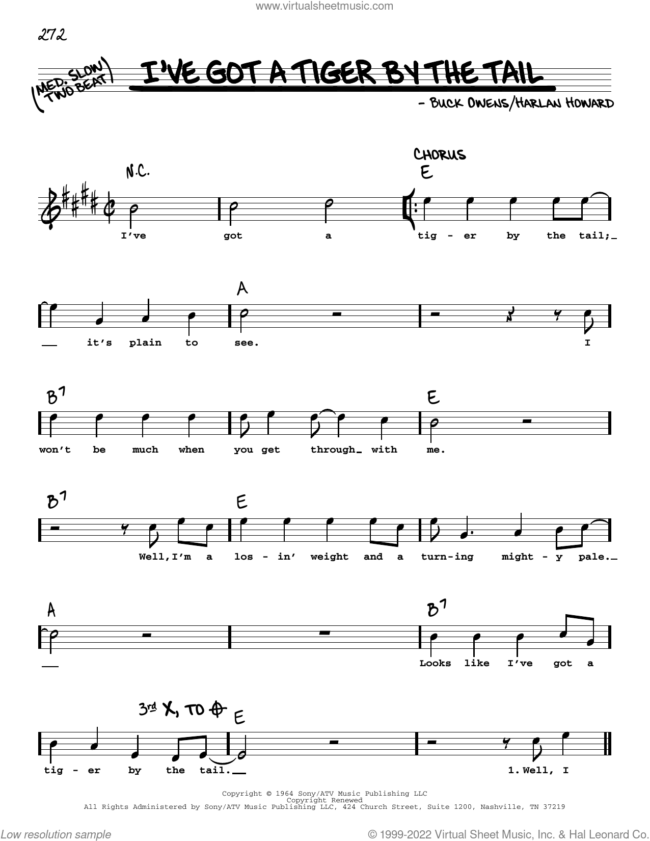 I've Got A Tiger By The Tail sheet music (real book with lyrics)